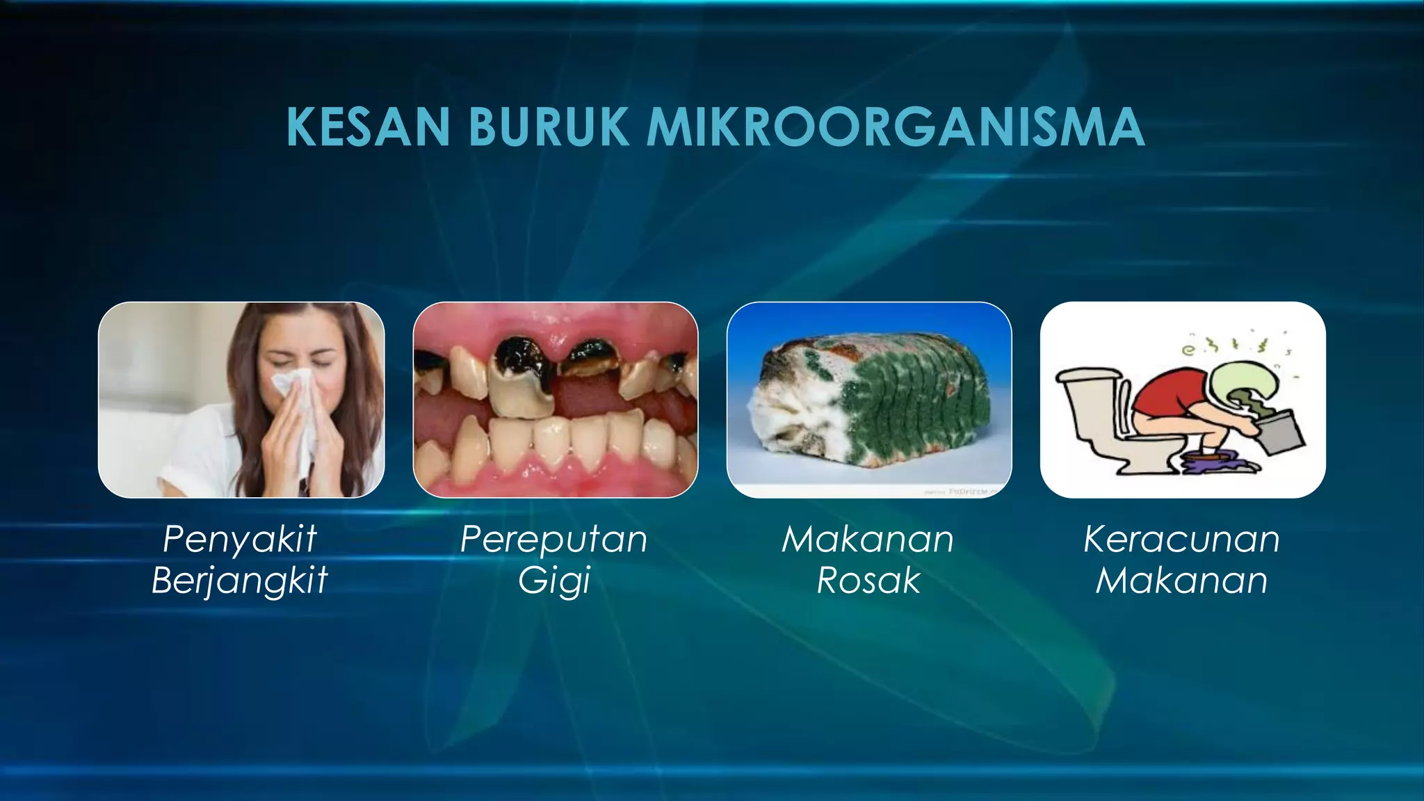 Sains Tahun 6: Unit 2 Mikroorganisma | PDF