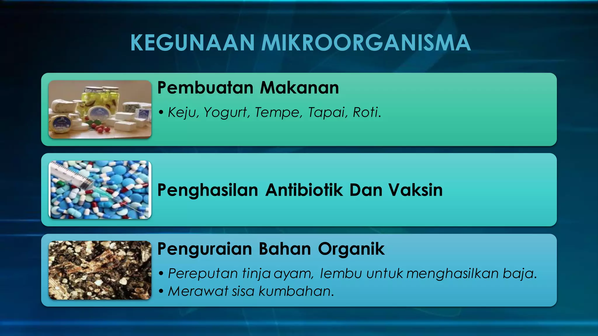 Sains Tahun 6: Unit 2 Mikroorganisma | PDF