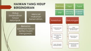 Sains Tahun 6: Unit 4 Interaksi Antara Hidupan | PDF