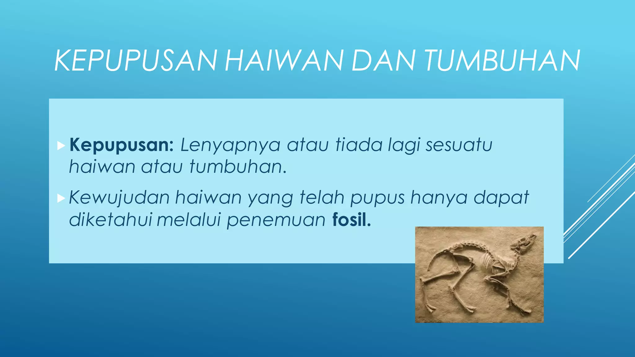Sains Tahun 6: Unit 5 Pemeliharaan & Pemuliharaan | PDF