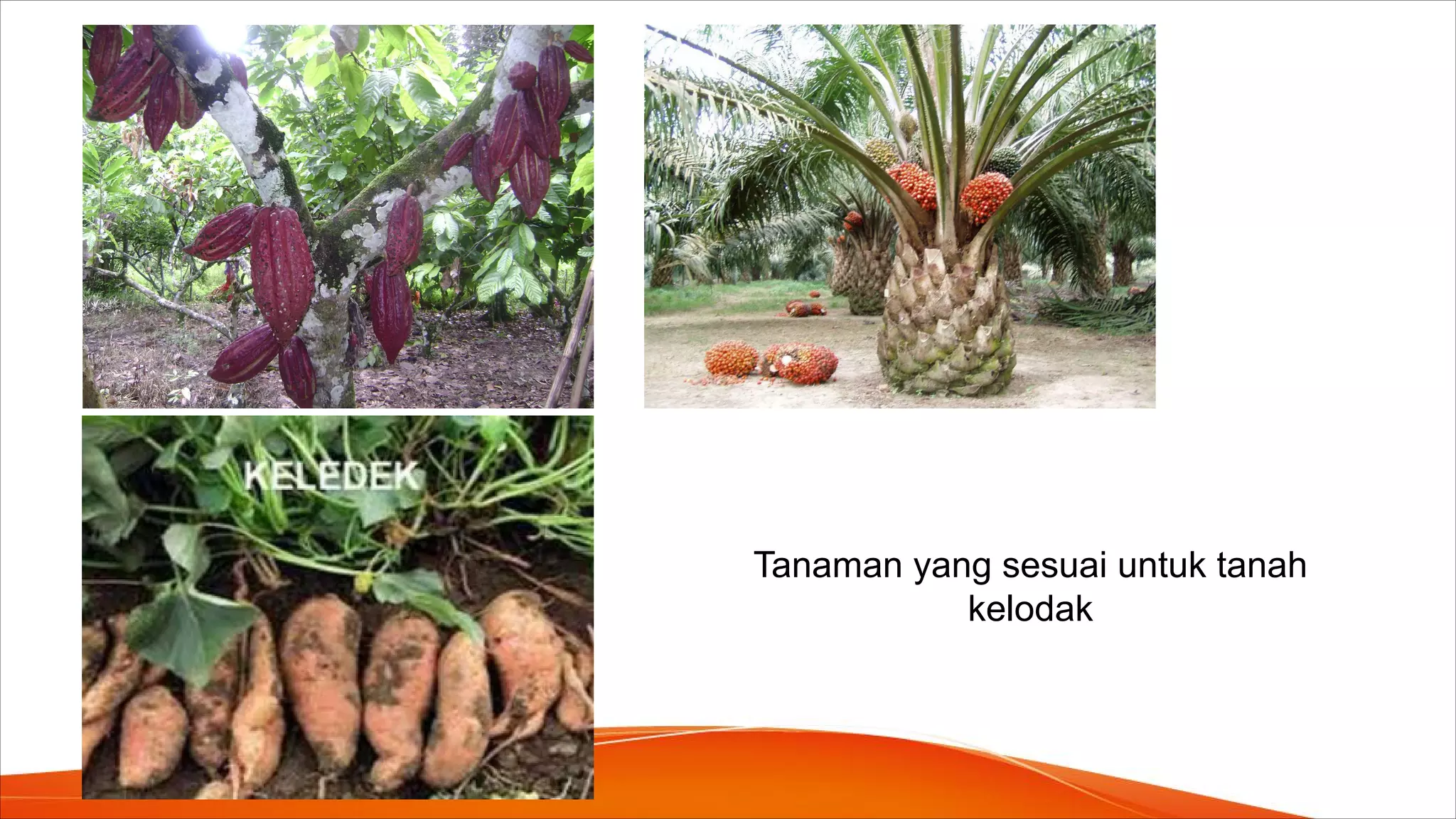 Sains tanah: Jenis Tanah & Sifat Tanah | PDF