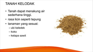 Sains tanah: Jenis Tanah & Sifat Tanah | PDF