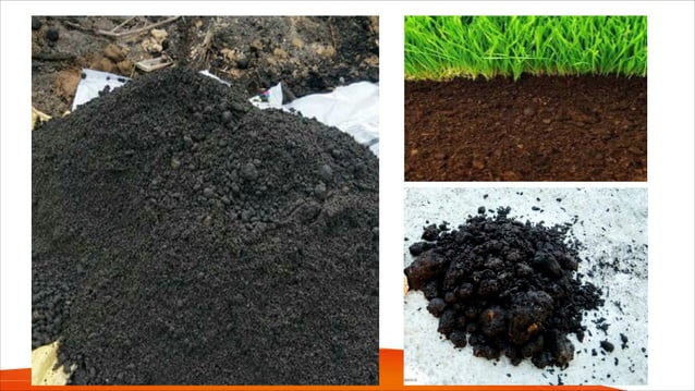 Sains tanah: Jenis Tanah & Sifat Tanah | PDF