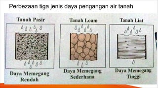 Sains tanah: Jenis Tanah & Sifat Tanah | PDF