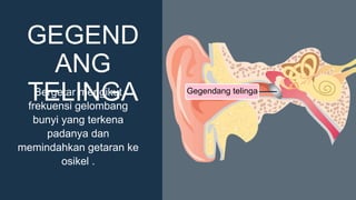 SAINS TING 3 BAB 1 ( Ransangan dan Tindak balas) | PPTX
