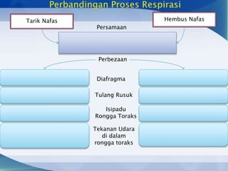 Sains tingkatan 3 sains bab 1 mekanisme pernafasan manusia | PPTX