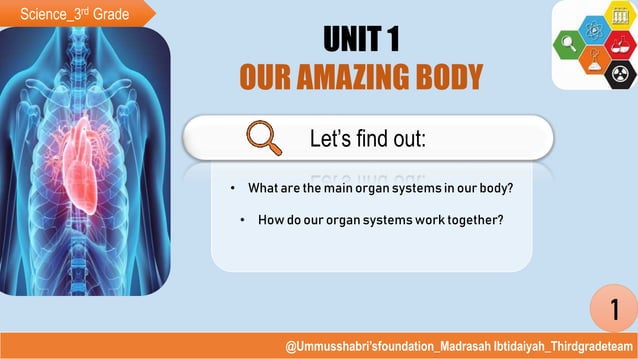 SAINS UNIT 1. OUR AMAZING BODY_THIRD GRADE.pptx