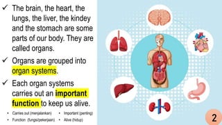 SAINS UNIT 1. OUR AMAZING BODY_THIRD GRADE.pptx