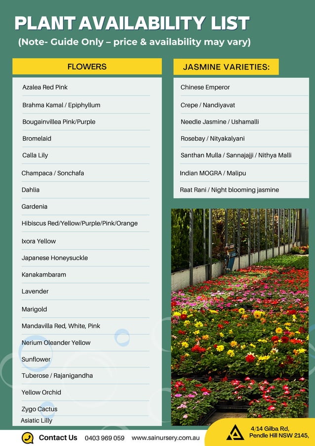 Sai Nursery Plants Availability.pdf