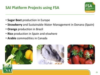 Agricultural sustainability through collaboration, beyond competition | PPTX