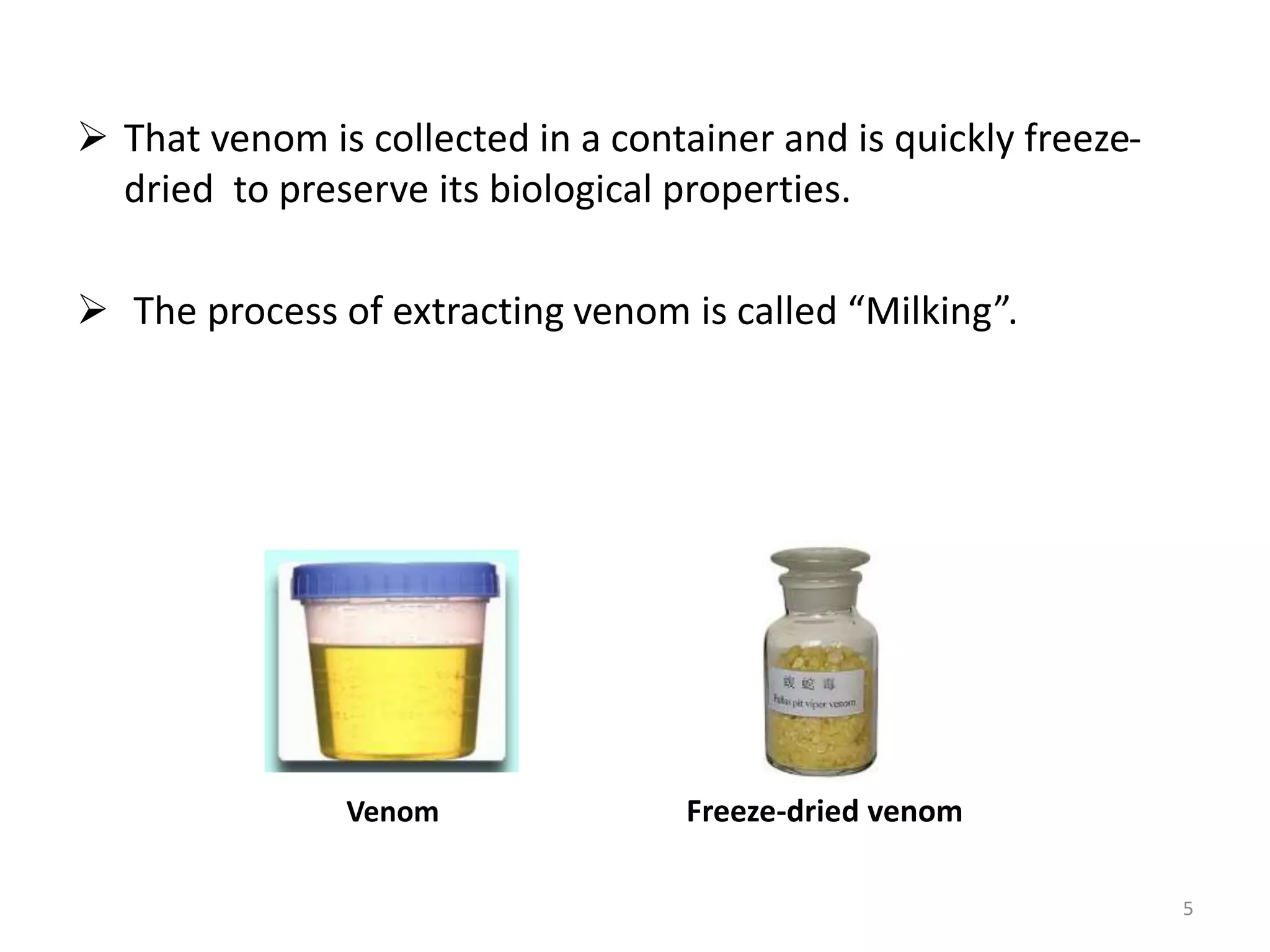 Medicinal Uses of Snake Venom | PPTX