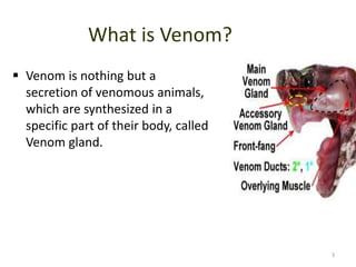 Medicinal Uses of Snake Venom | PPTX