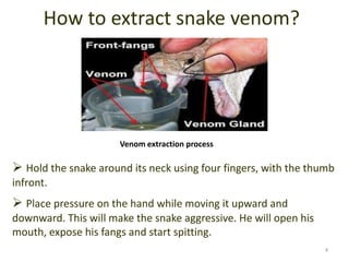 Medicinal Uses of Snake Venom | PPTX