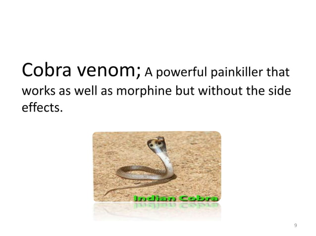 Medicinal Uses of Snake Venom | PPTX