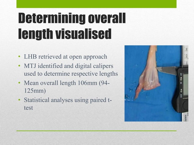 Shoulder arthroscopy does not adequately visualise pathology of the LHB ...