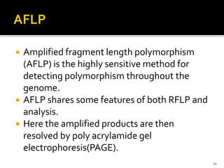 Molecular Markers | PPTX
