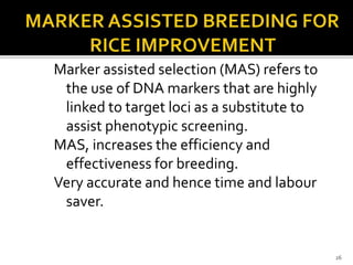 Molecular Markers | PPTX