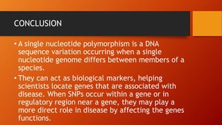 Single Nucleotide Polymorphism | PPTX