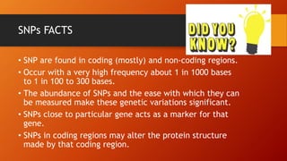 Single Nucleotide Polymorphism | PPTX