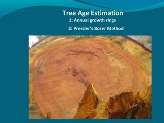 Sajid presentation slides | PPT