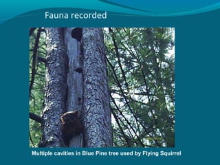 Sajid presentation slides | PPT