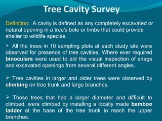 Sajid presentation slides | PPT