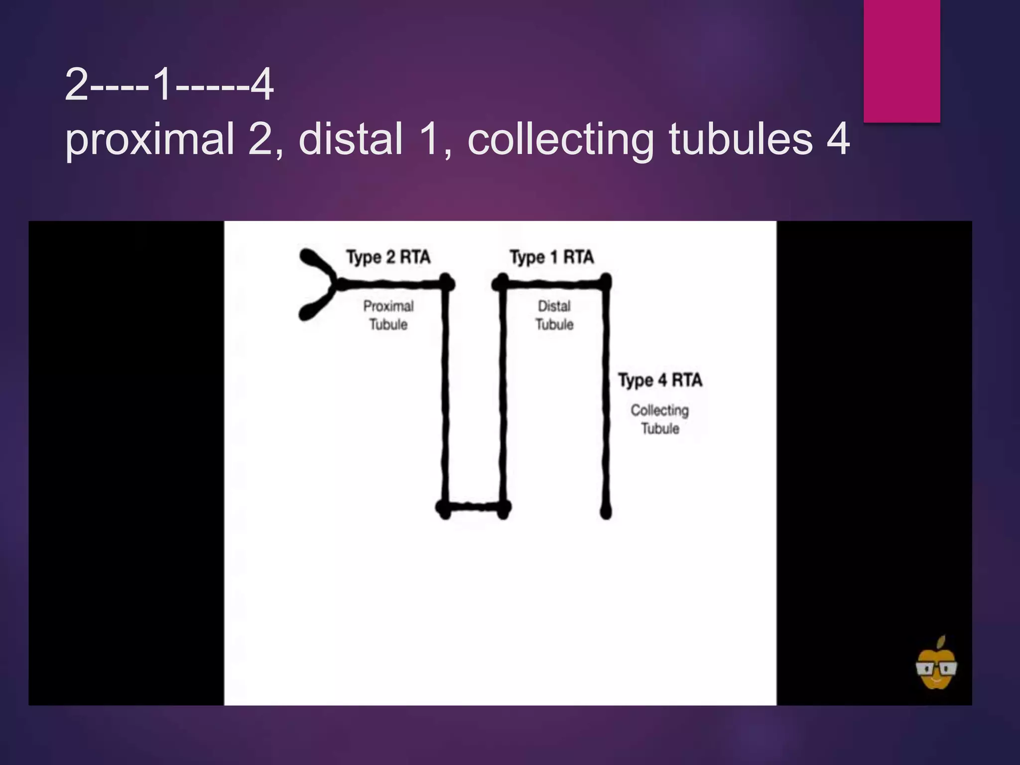RENAL TUBULAR ACIDOSIS | PPTX