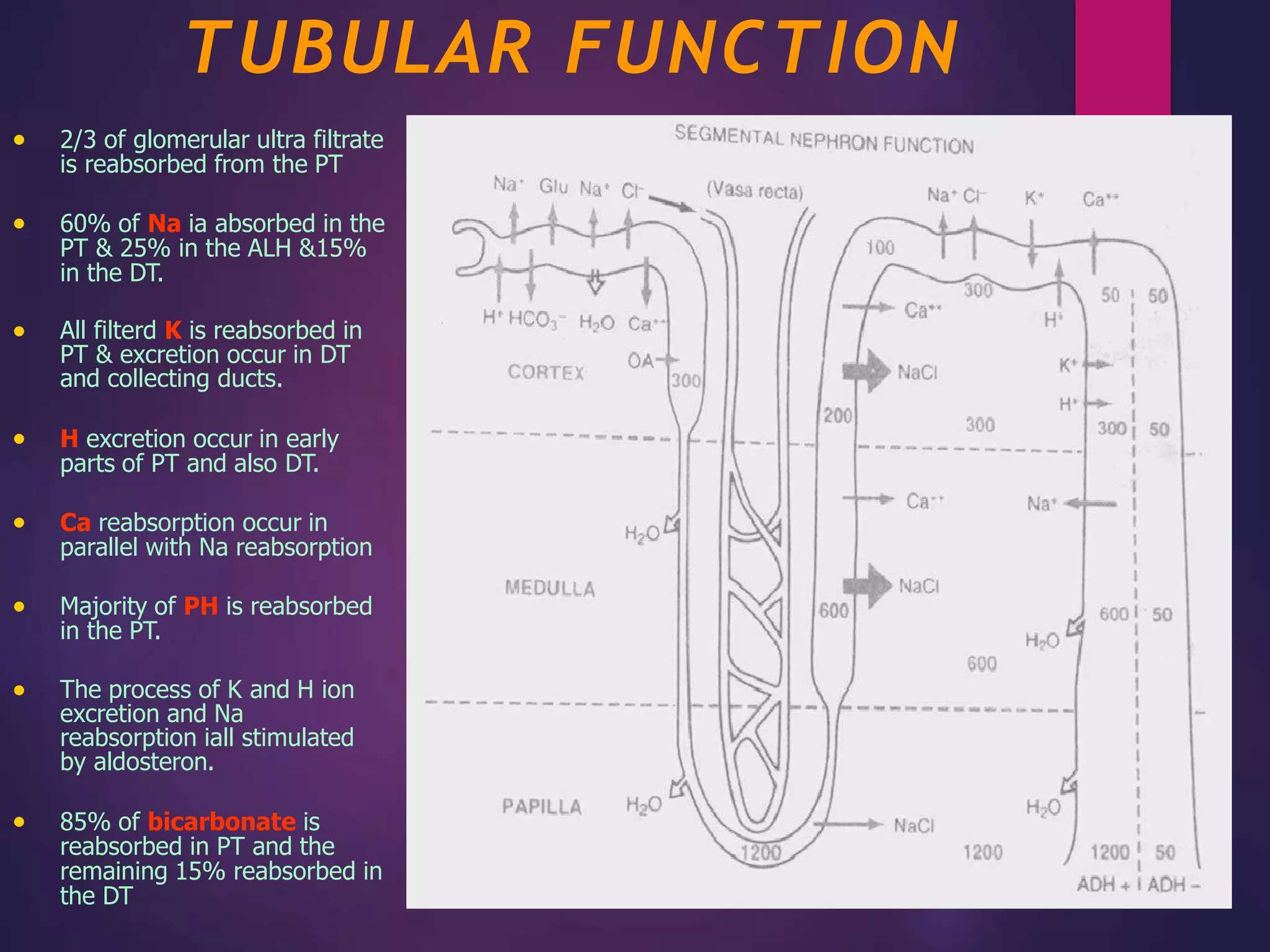 RENAL TUBULAR ACIDOSIS | PPTX