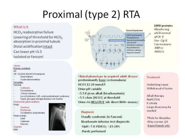 RENAL TUBULAR ACIDOSIS | PPTX | Endocrine and Metabolic Diseases ...