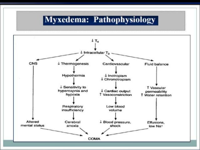 Myxedema Pathophysiology
