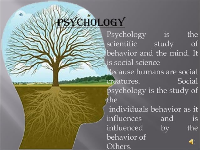 DISCIPLINES OF SOCIAL SCIENCE | PPT