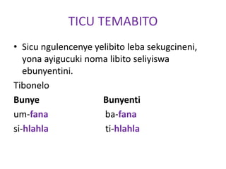 Sakhiwo selibito | PPT