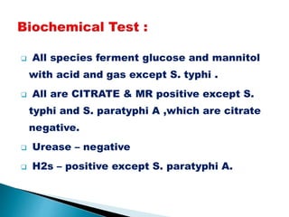 SAKIB SEMINAR - SALMONELLA.pptx