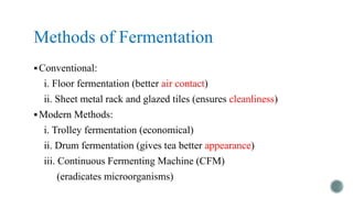 Fermentation of Tea | PPTX