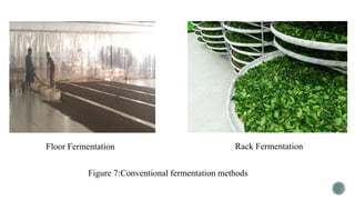 Fermentation of Tea | PPTX