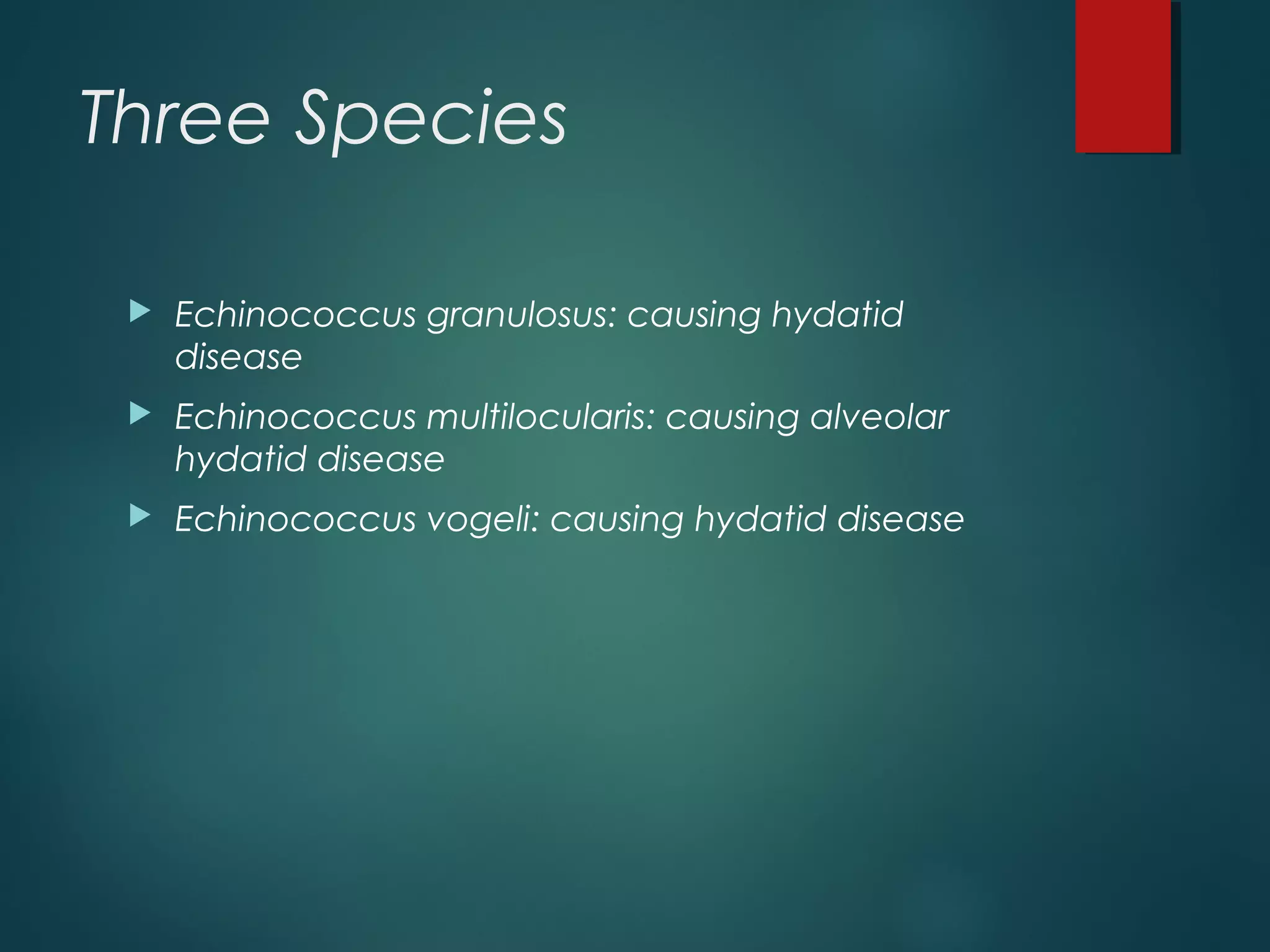 echinococcus | PPT