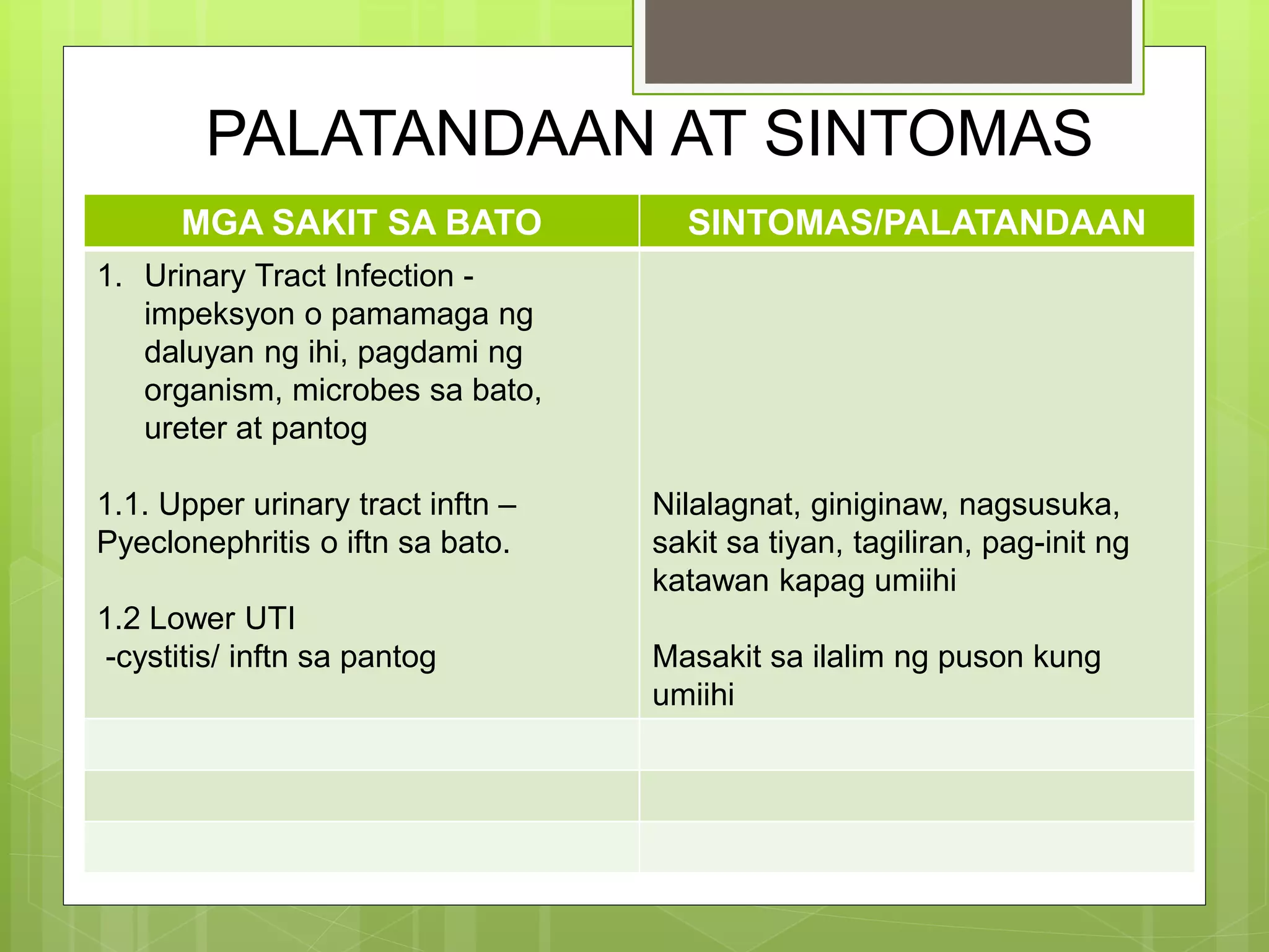 Sakit sa bato.pptx