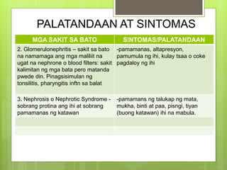 Sakit sa bato.pptx