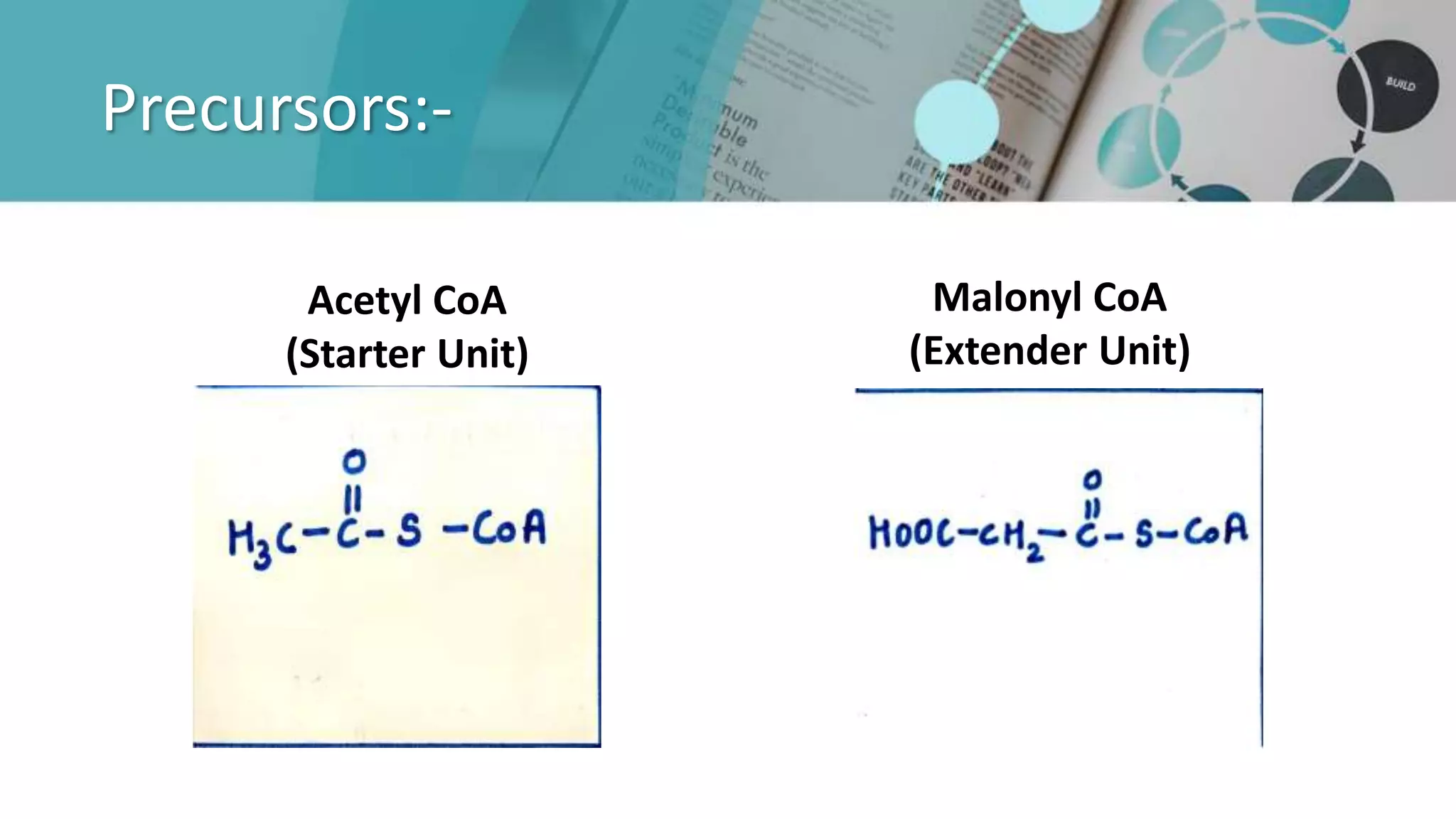 Acetate malonate pathway | PPTX