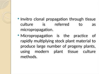Microprapagation, types & application ppt..pptx