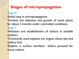 Microprapagation, types & application ppt..pptx