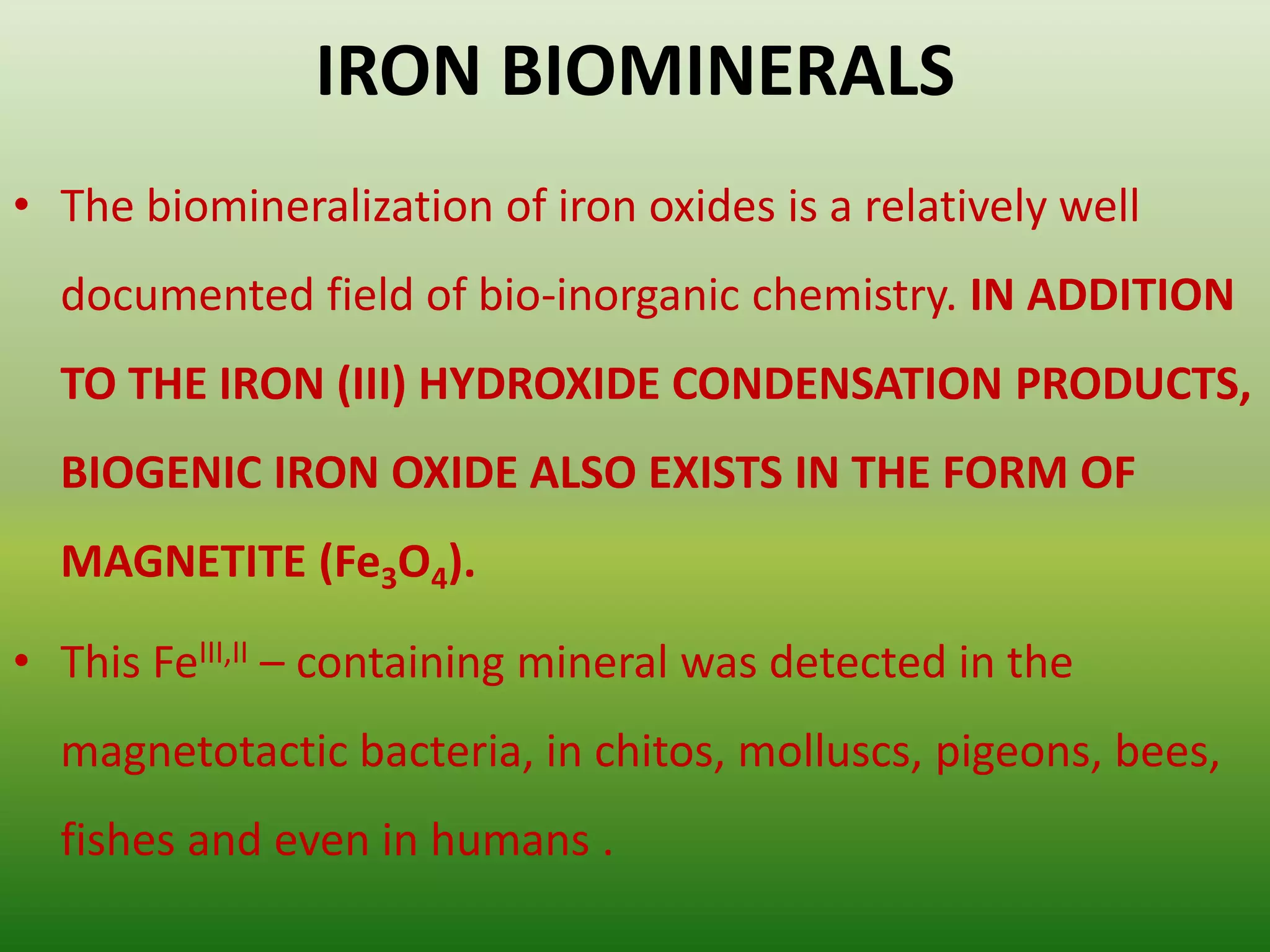 BIOMINERALISATION | PPTX