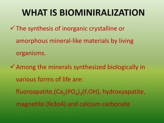 BIOMINERALISATION | PPTX