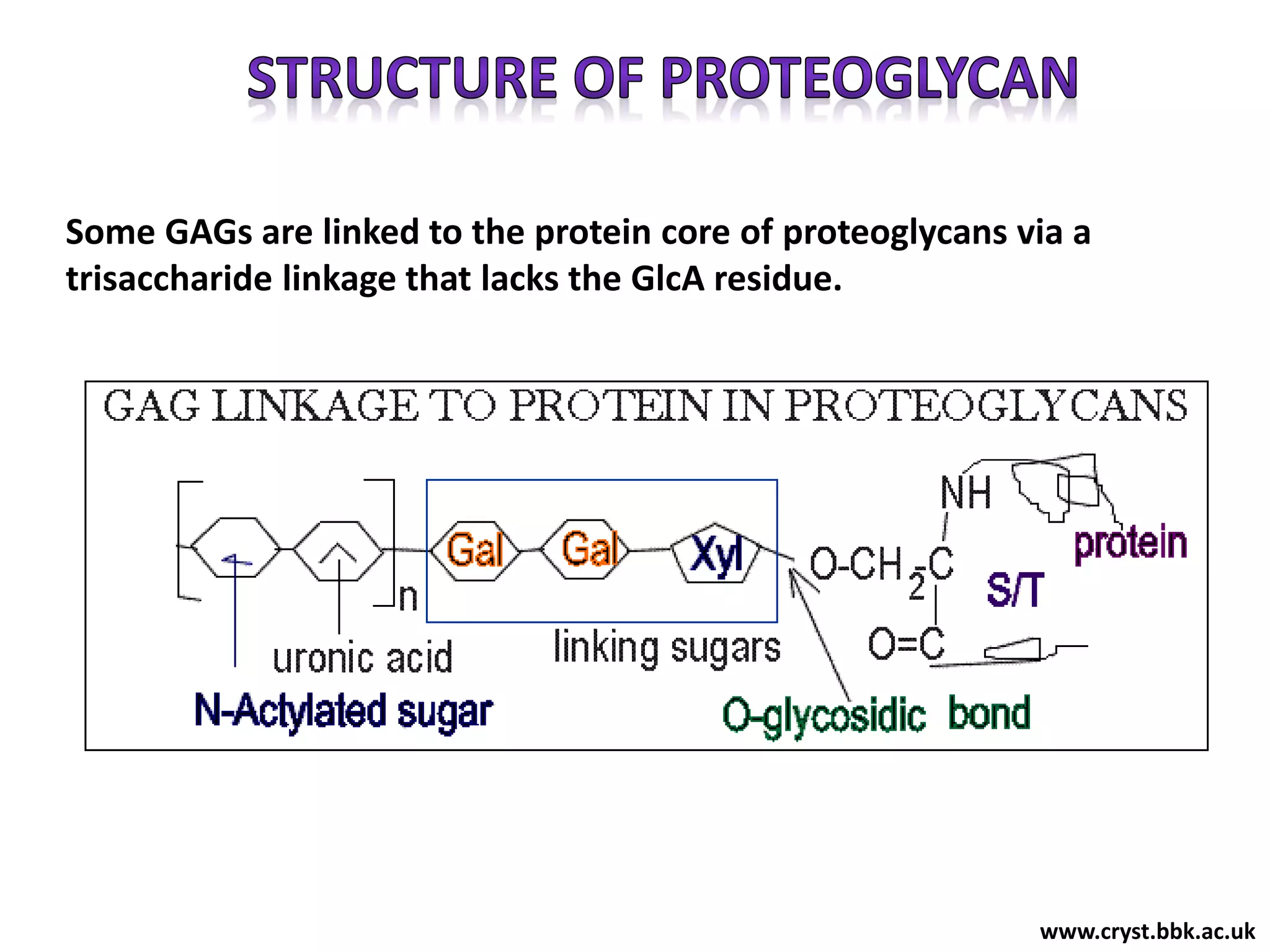 Proteoglycans and glycoproteins | PPTX