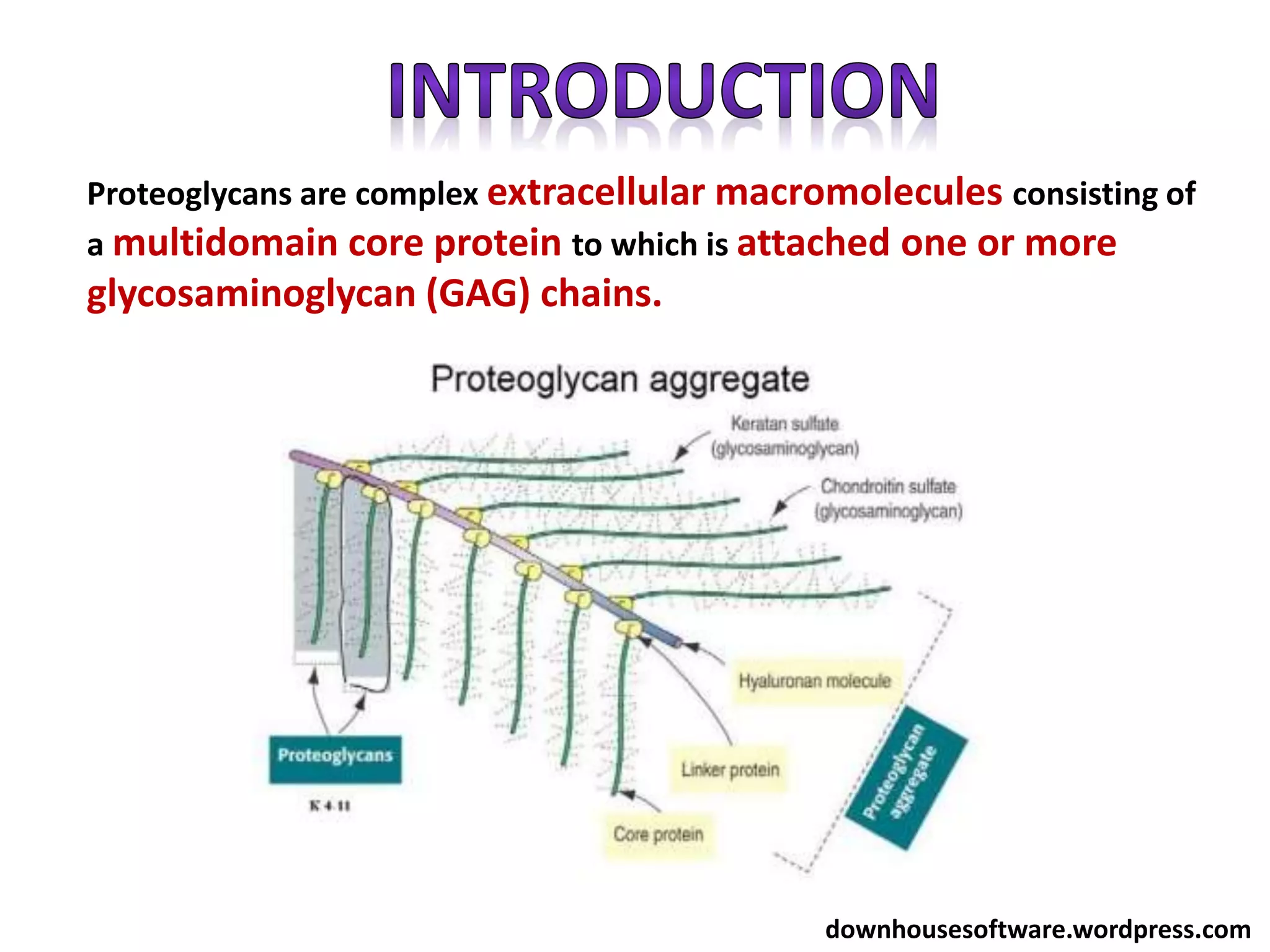 Proteoglycans and glycoproteins | PPTX