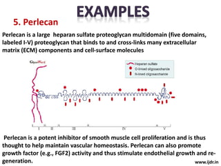 Proteoglycans and glycoproteins | PPTX