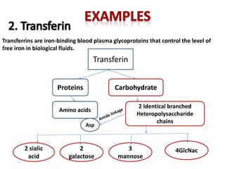 Proteoglycans and glycoproteins | PPTX