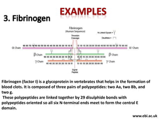Proteoglycans and glycoproteins | PPTX