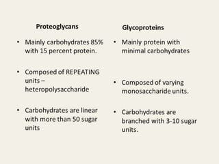 Proteoglycans and glycoproteins | PPTX