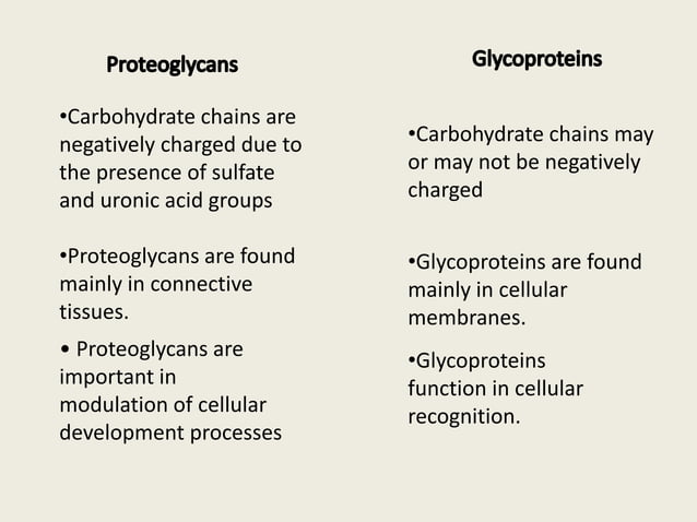 Proteoglycans and glycoproteins | PPTX